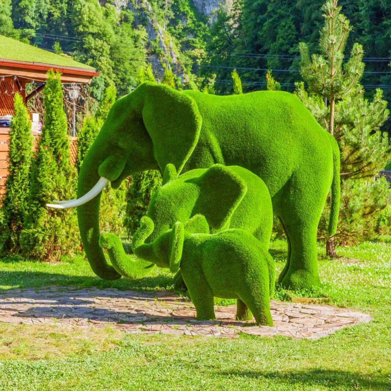 Topiary Moss For Sale | Buy Live Moss Online